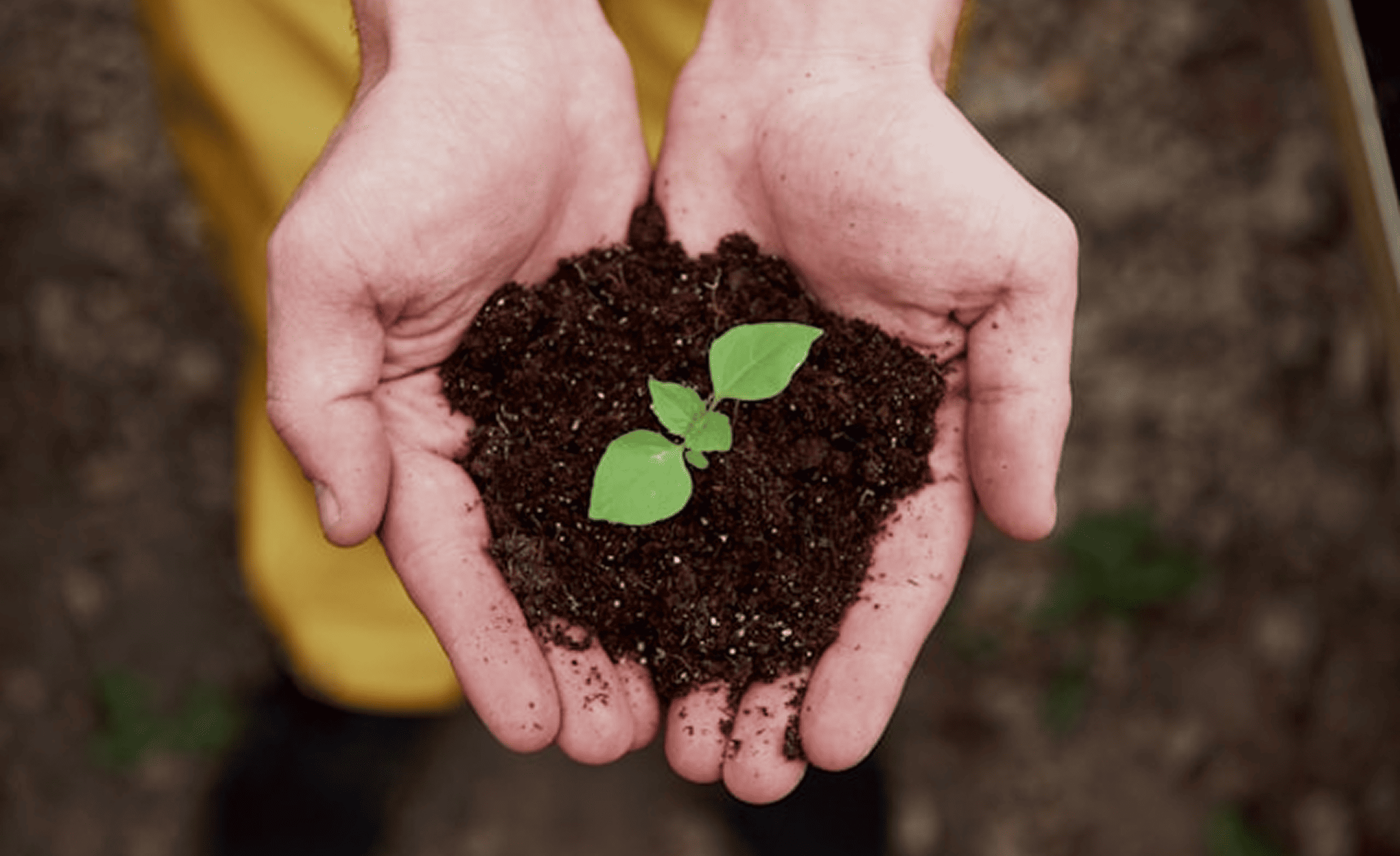 Sudatel Telecommunications | Connecting Nations